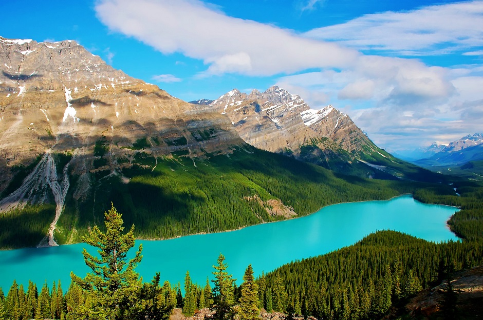 %e3%80%90%e5%a4%8f%e3%80%91%e3%82%ab%e3%83%8a%e3%83%87%e3%82%a3%e3%82 ...