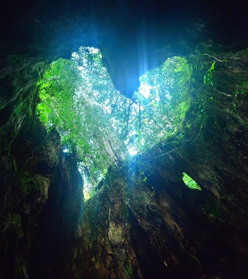 %e3%82%a6%e3%82%a3%e3%83%ab%e3%82%bd%e3%83%b3%e7%a5%9e%e3%80%85%e3%81 ...