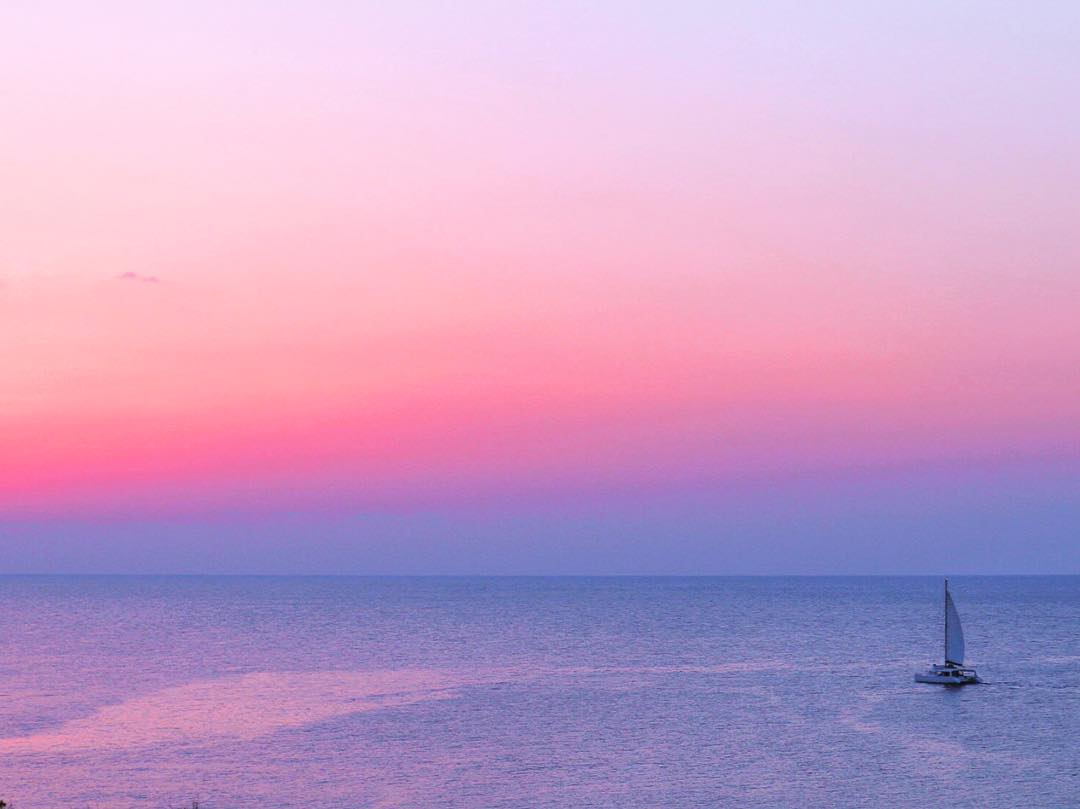 %e3%82%bf%e3%83%93%e3%82%b8%e3%83%a74 | Like the World Magazine